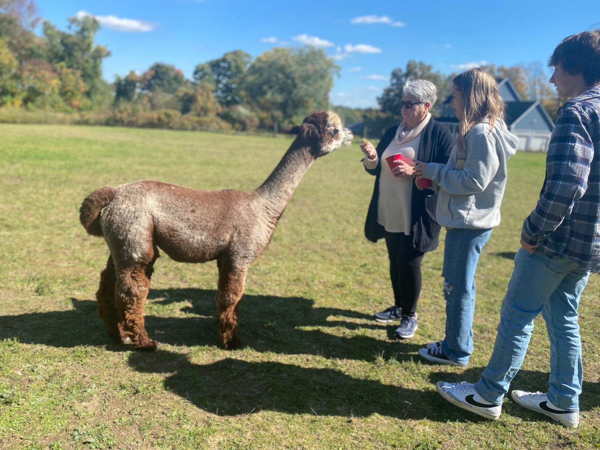 Private Farm Tour – Red Door Alpaca Farm
